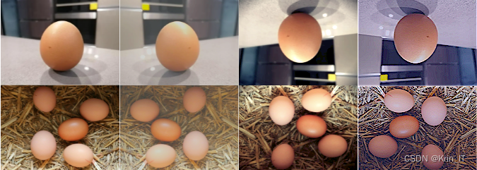 毕业设计：基于深度学习的鸡蛋识别算法系统 目标检测_鸡蛋图像 数据集-CSDN博客