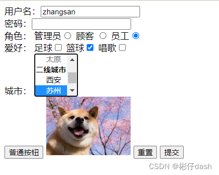 HTML&CSS学习Day02-CSDN博客