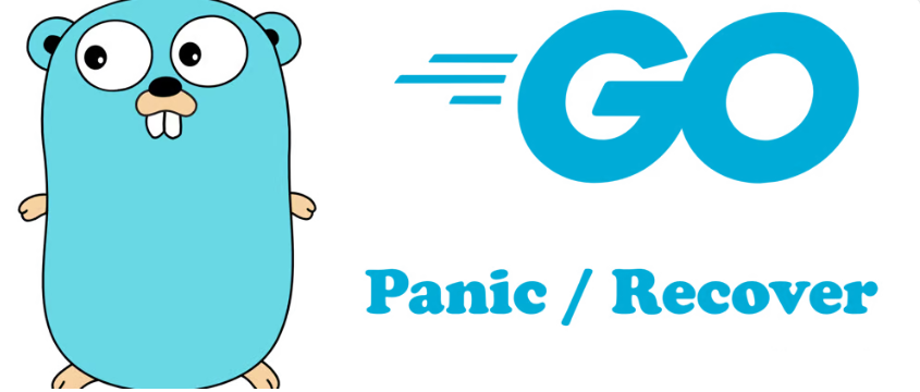 Panic与Recover：Go异常处理的救命稻草_panic recover-CSDN博客