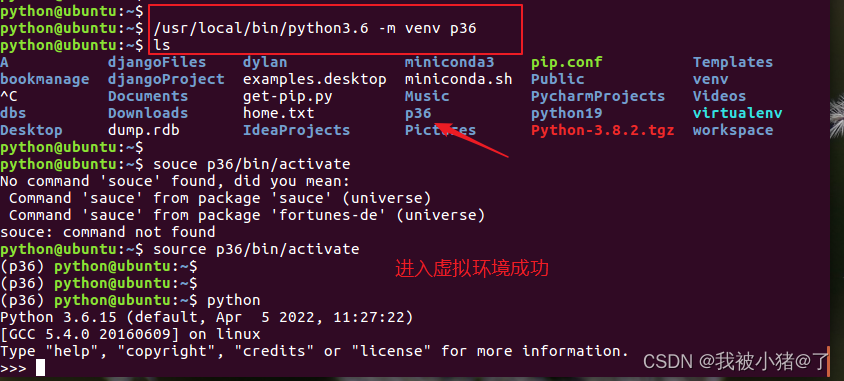 linux使用Venv创建指定python版本与指定django版本的虚拟环境_python venv 指定版本-CSDN博客