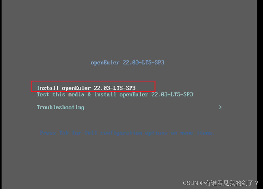 vmware 安装 openEuler_offline standard iso-CSDN博客