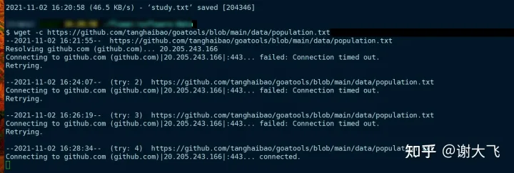 FastGithub下载及使用-CSDN博客