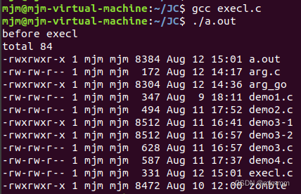 Linux_exec函数详解,-CSDN博客