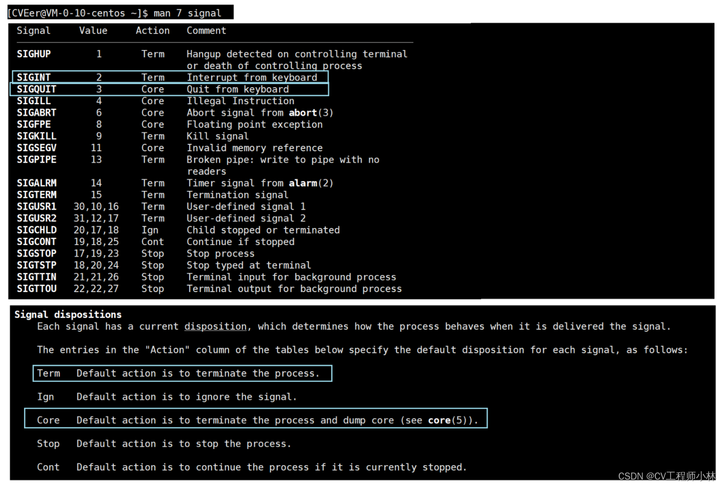 【Linux系统】进程信号_linux sigtrap-CSDN博客