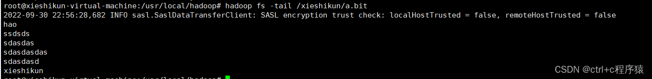 最详细HDFS常用命令作用及截图_hdfs dfs -get-CSDN博客