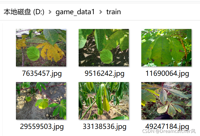数据集按照csv格式标签划分为训练集和验证集（完整代码）_train.csv-CSDN博客