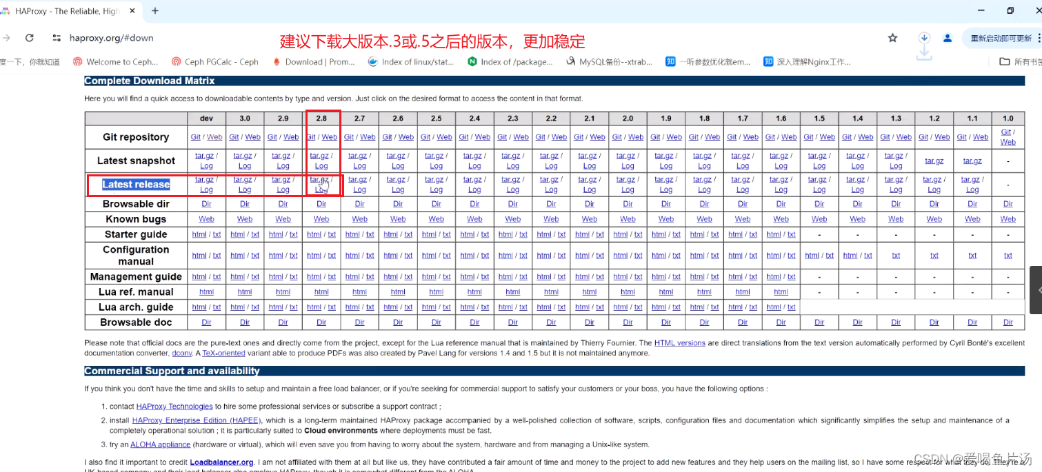 第四章 haproxy搭建web群集_haproxy搭建过程(bclinux系统)-CSDN博客