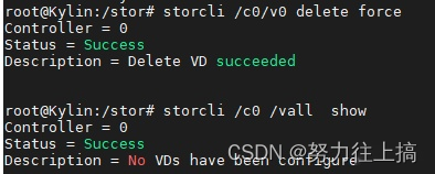 使用storcli/storcli64工具配置RAID-CSDN博客