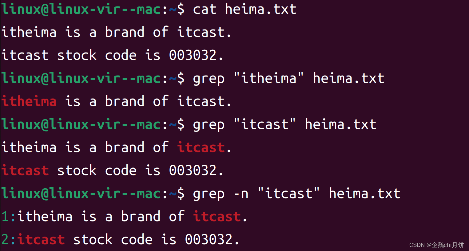 Linux命令进一步学习：which，find，grep，管道符，echo，tail，重定向符，Vim编辑器详细介绍，终端快捷键和小技巧_which echo-CSDN博客
