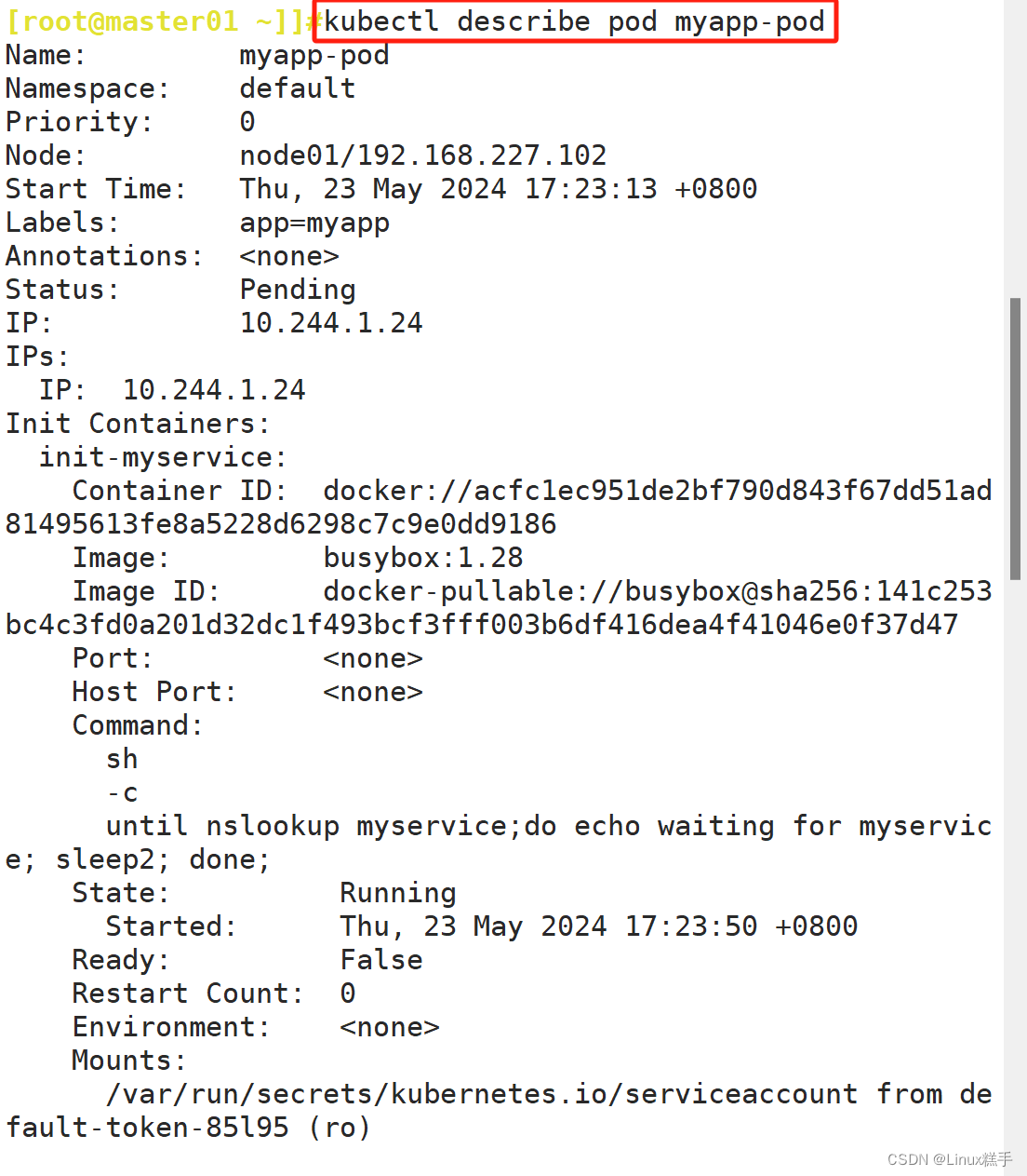 Kubernetes Pod基本概念_kubectl pod-CSDN博客