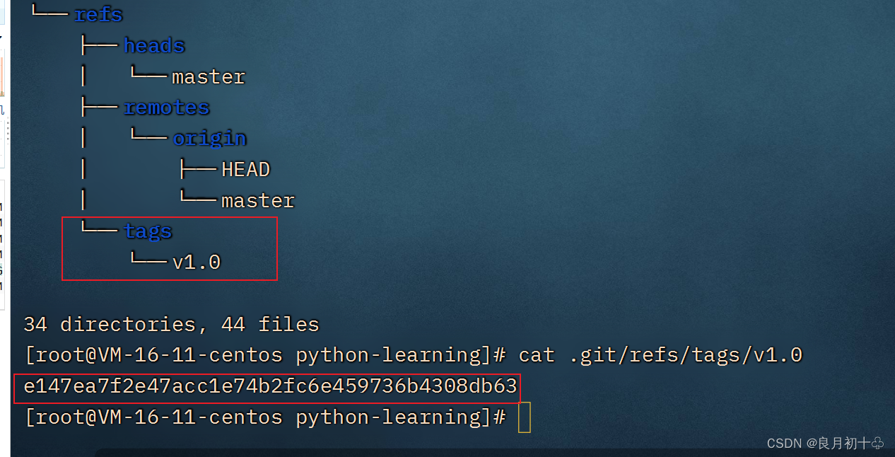 Git 标签管理_git tag -a-CSDN博客