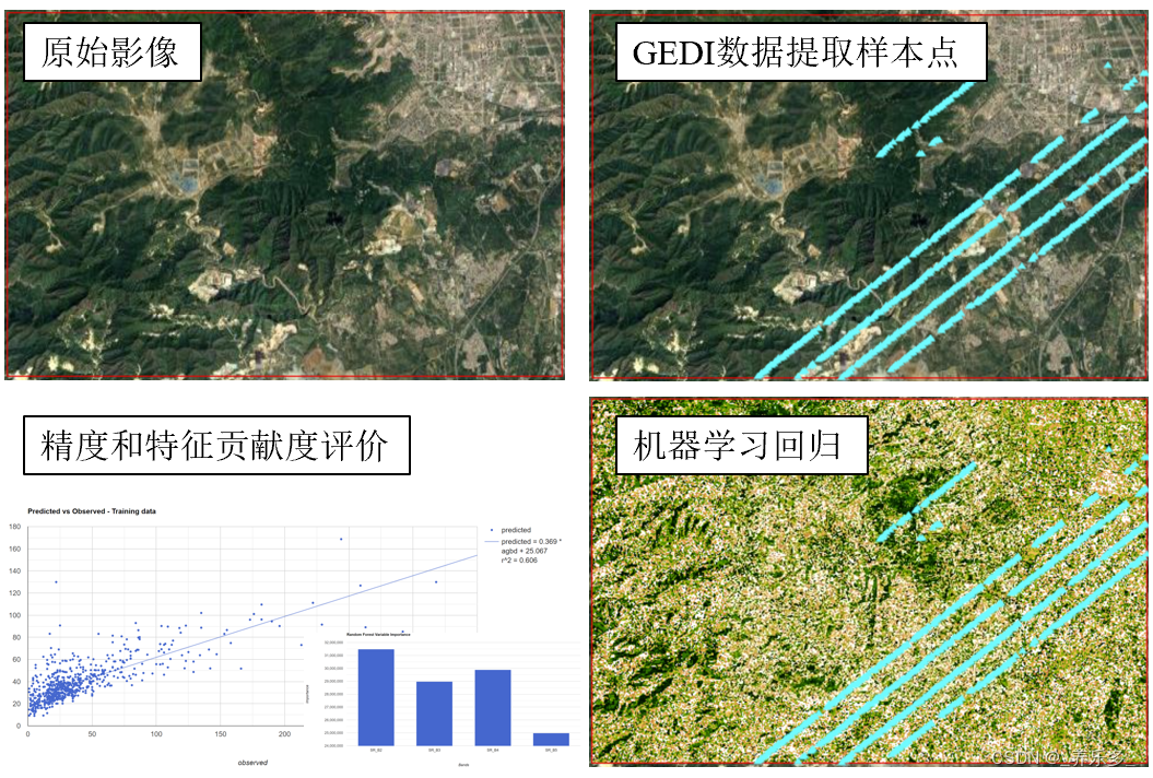 GEE：基于GEDI-4A 级（L4A）数据和机器学习方法预测地上生物量密度（AGBD；单位为 Mg/ha）_agb生物量单位-CSDN博客