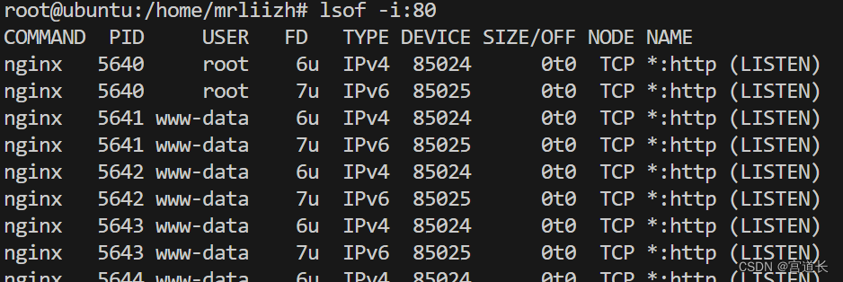 nginx命令 启动 停止 nginx原理_nginx -s stop 运行原理-CSDN博客