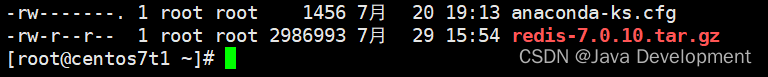 CentOS7安装Redis7.0.10（非docker安装）_redis-7.0.10.tar.gz-CSDN博客
