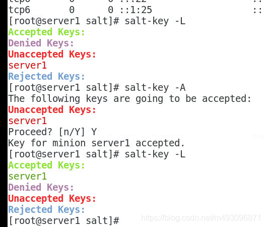 saltstack入门与搭建_saltstack 搭建-CSDN博客