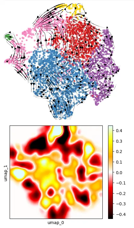 单细胞空间数据分析之velocity_rna速率分析 'spliced' data must be provided-CSDN博客