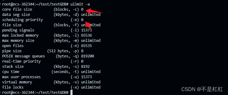 core文件调试（gdb）_gdb core文件调试-CSDN博客