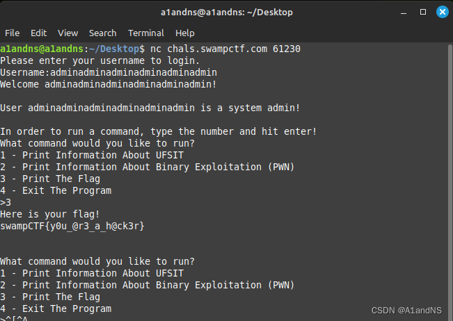 swampCTF 2024-CSDN博客