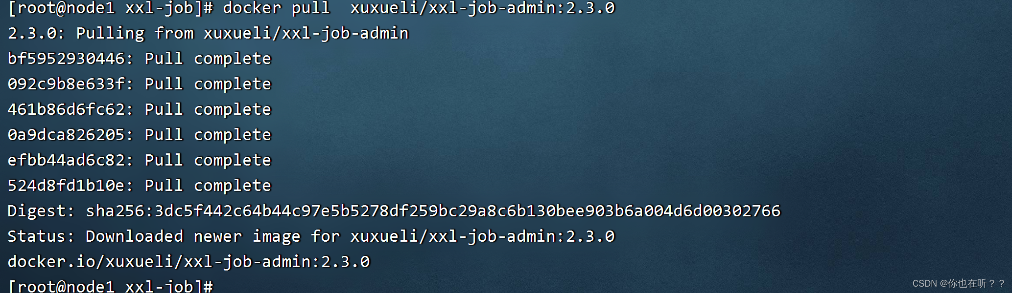 xxl-job定时调度高可用双节点集群版（详细版）_xxl-job高可用-CSDN博客