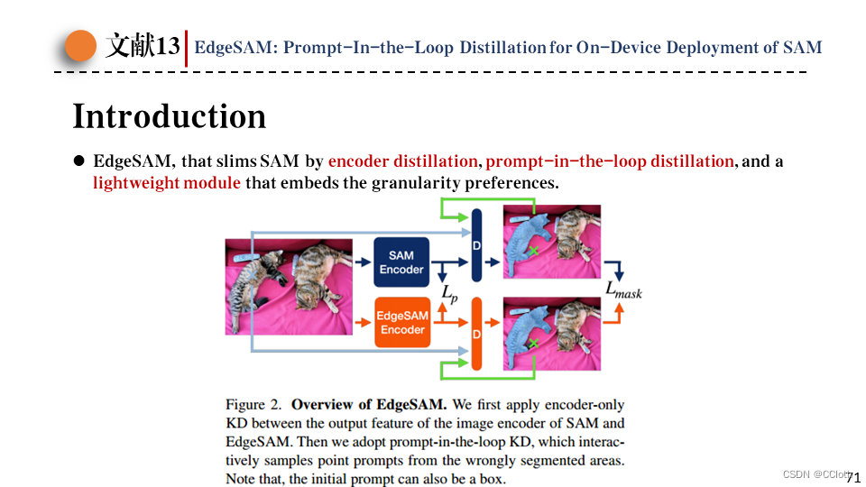 [阅读笔记13][EdgeSAM]Prompt-In-the-Loop Distillation for On-Device Deployment of SAM_粒度先验-CSDN博客
