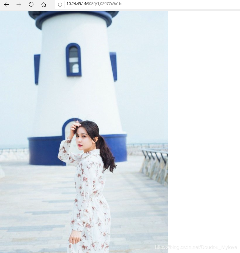 seaweedfs 部署使用_seedweedfs 部署-CSDN博客