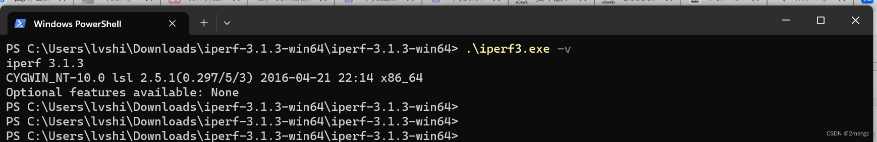 iPerf3 安装及使用方法_iperf3安装-CSDN博客