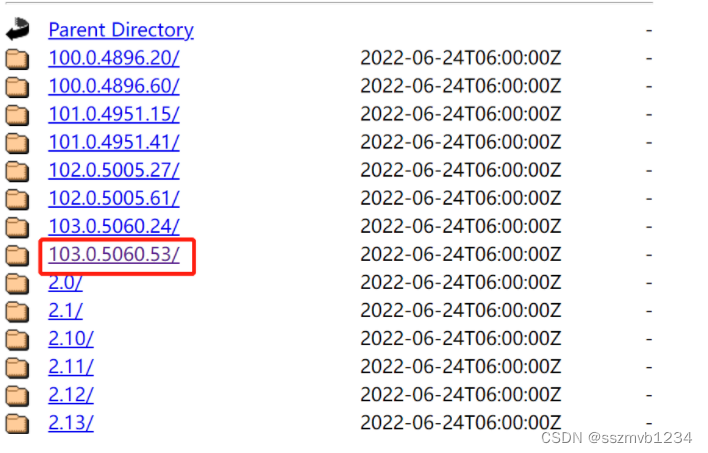 Python+Selenium4环境搭建_selenium4集成-CSDN博客