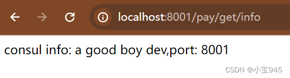 SpringCloud——consul_consul 安装-CSDN博客