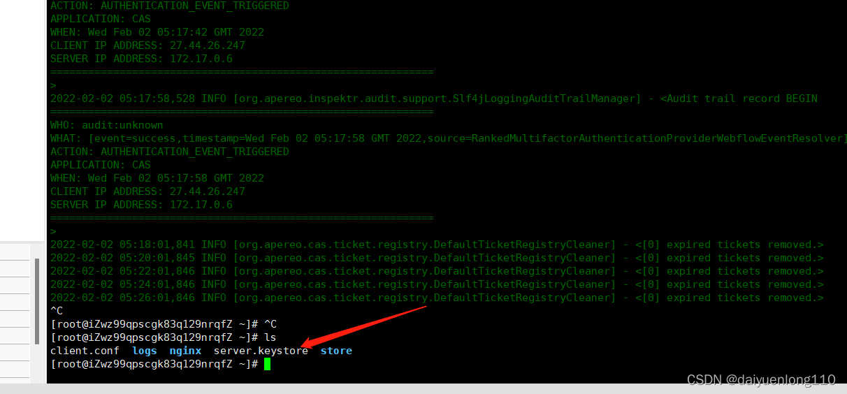 Docker部署CAS单点登录SERVER 6.2.2_用docker 搭建 cas 服务器-CSDN博客