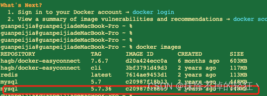 使用Docker安装MySQL5.7.36_docker mysql5.7.36-CSDN博客