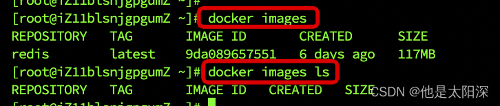 Docker命令速查-CSDN博客