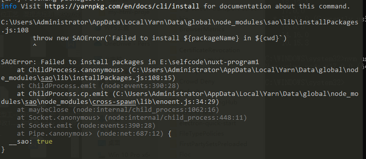 小白第一次使用nuxt_nuxt2支持的node版本-CSDN博客