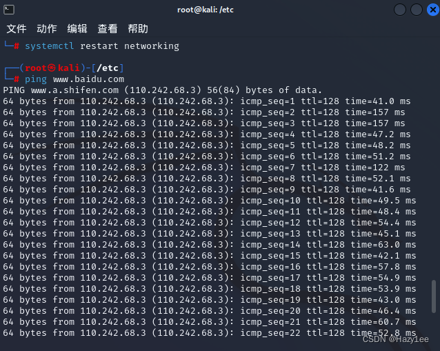 Kali Linux NAT上网配置-CSDN博客