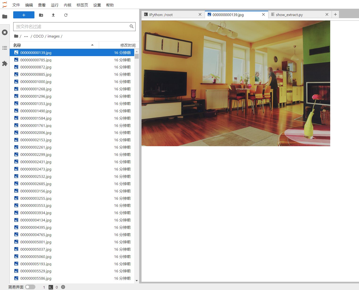 python提取COCO数据集中特定的类_python coco-CSDN博客
