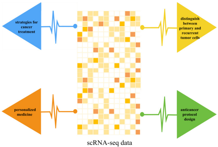 Imputation Methods for scRNA Sequencing Data_imputation methods for sc-rna squencing-CSDN博客