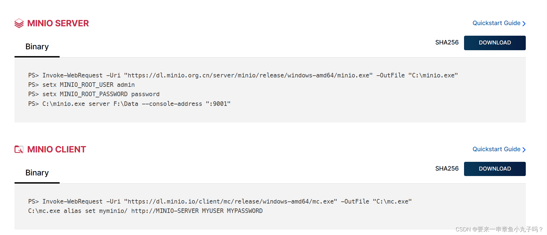 MinIO：Go语言驱动的高性能对象存储服务部署指南-CSDN博客