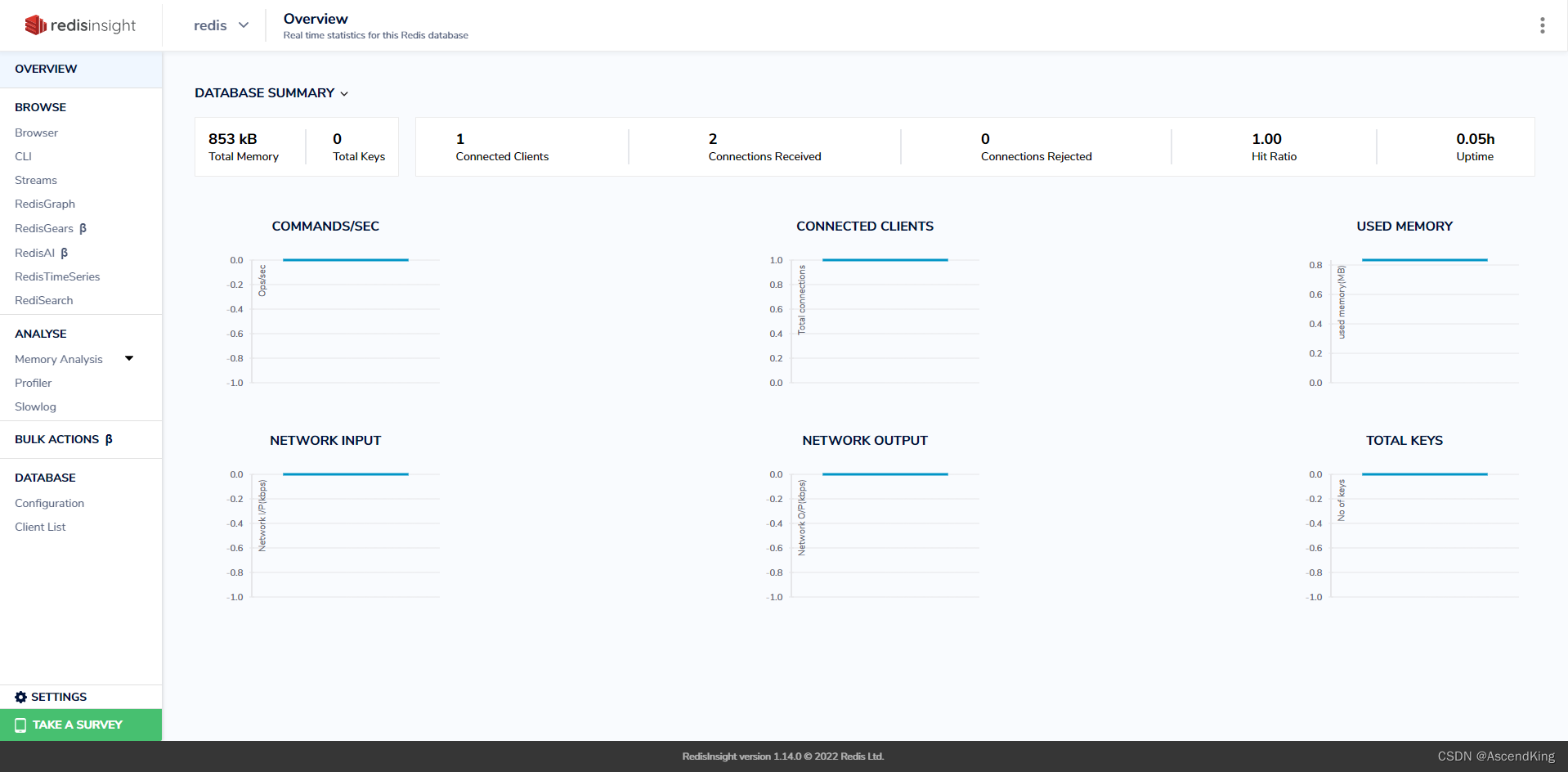 RedisInsight详细安装教程_redisinsight安装-CSDN博客