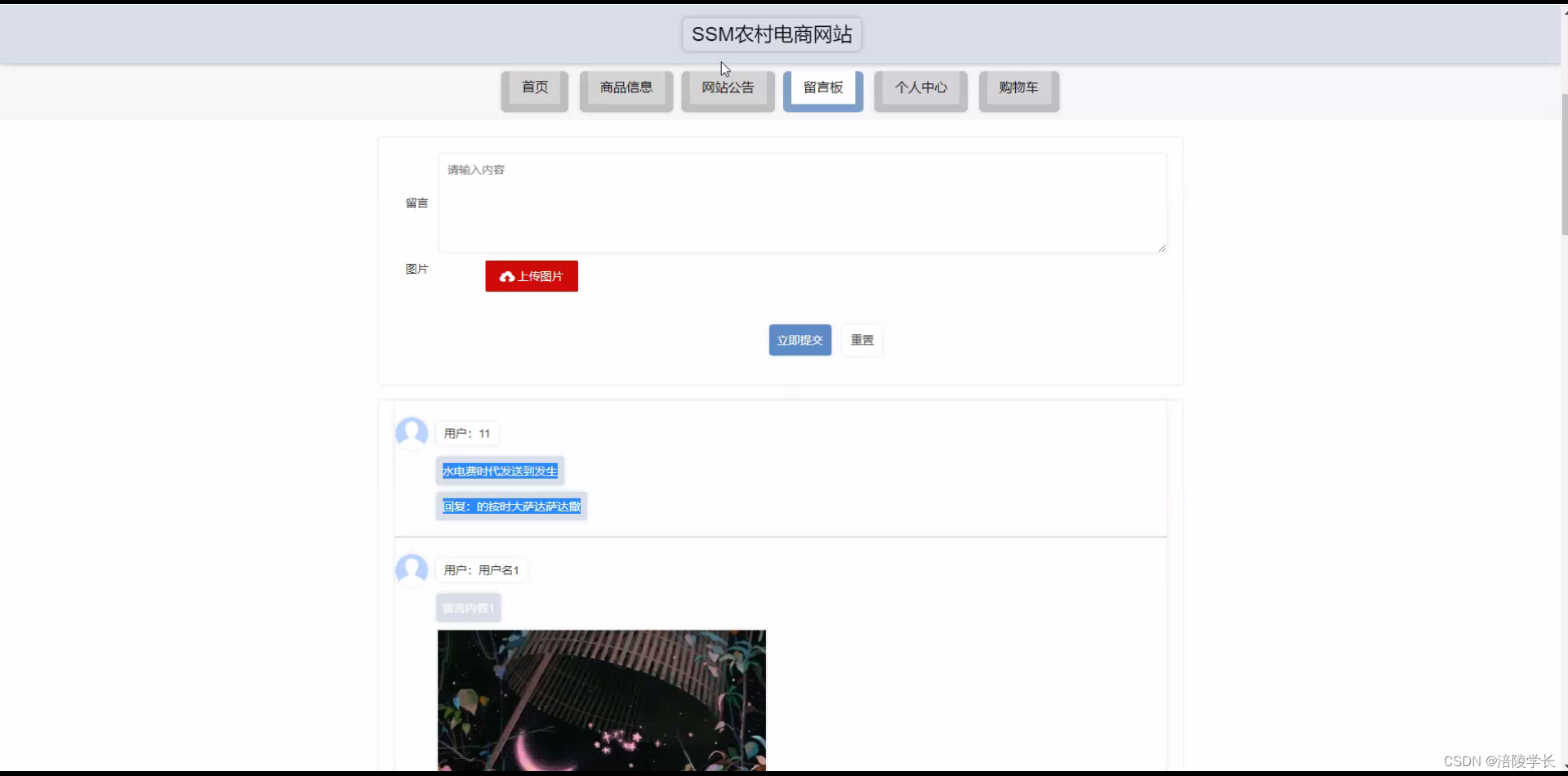 [附源码]java+ssm计算机毕业设计java农村电商网站3252s【源码、数据库、LW、部署】-CSDN博客