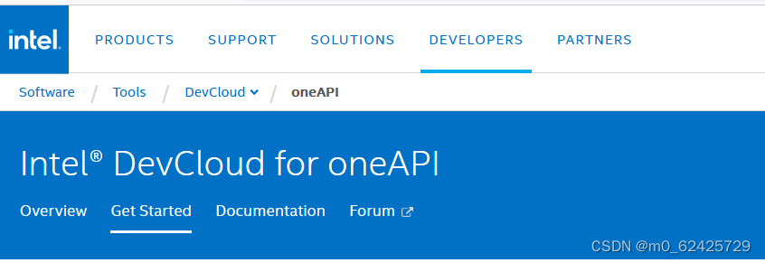 DPCPP环境构建_dpcpp math 编译时候冲突-CSDN博客