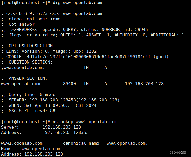 RHCE--dns正反向解析小实验-CSDN博客