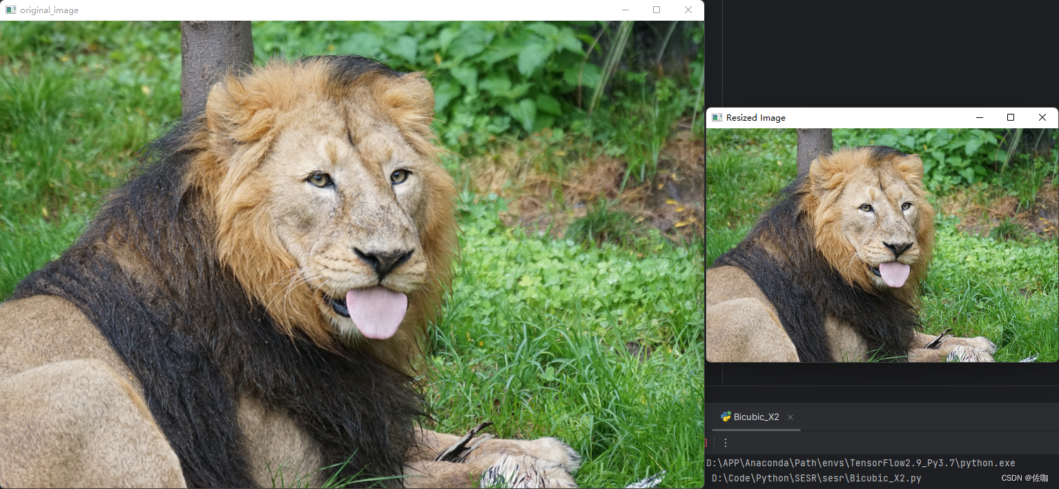 超分辨率重建——复现SESR网络训练并推理测试（详细图文教程）-CSDN博客