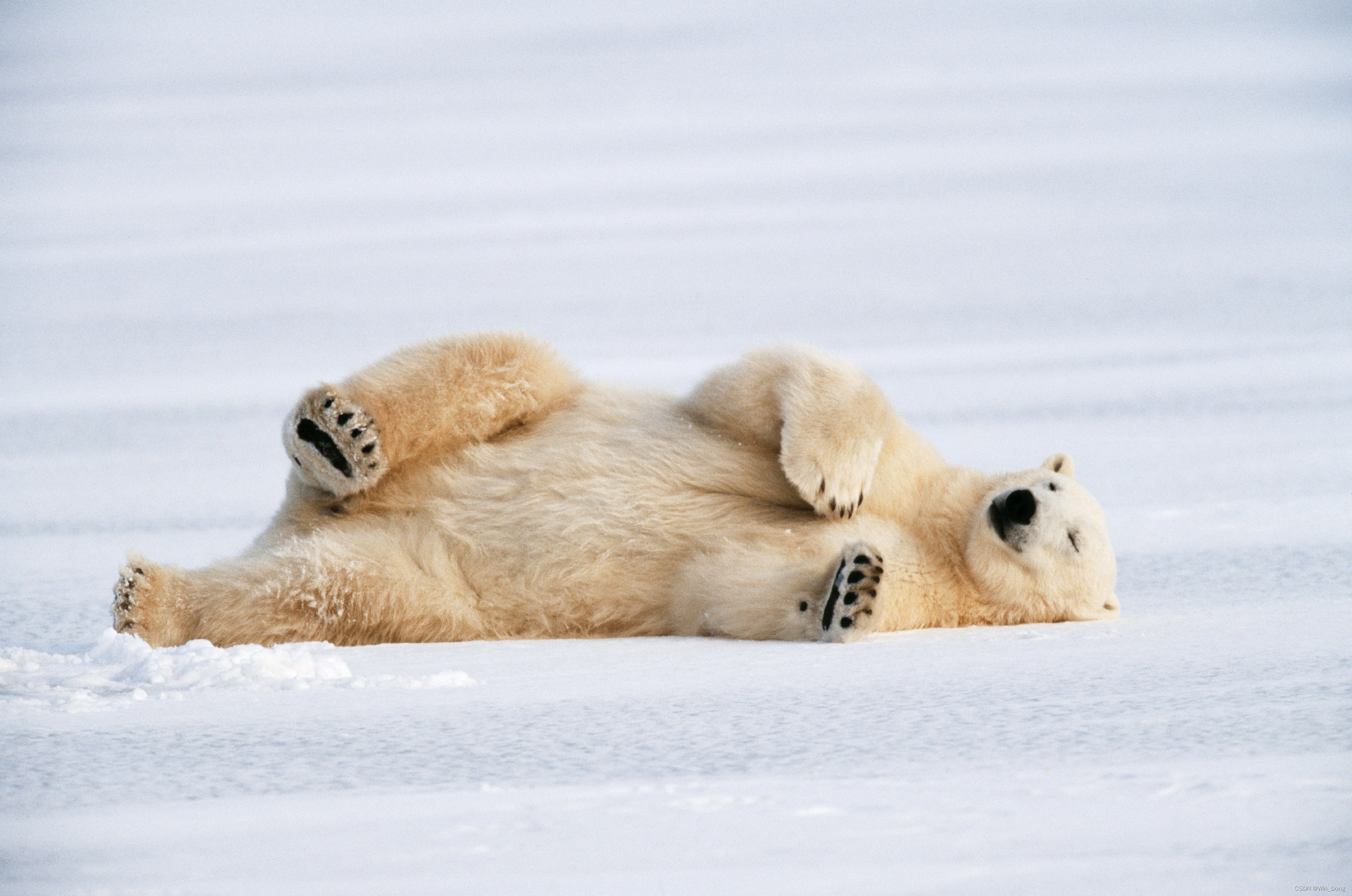 Python递归函数、匿名函数lambda、类的常用装饰器tter递归调用 Csdn博客