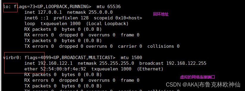 Linux网络配置与诊断：ifconfig, route, netstat, ss命令详解-CSDN博客