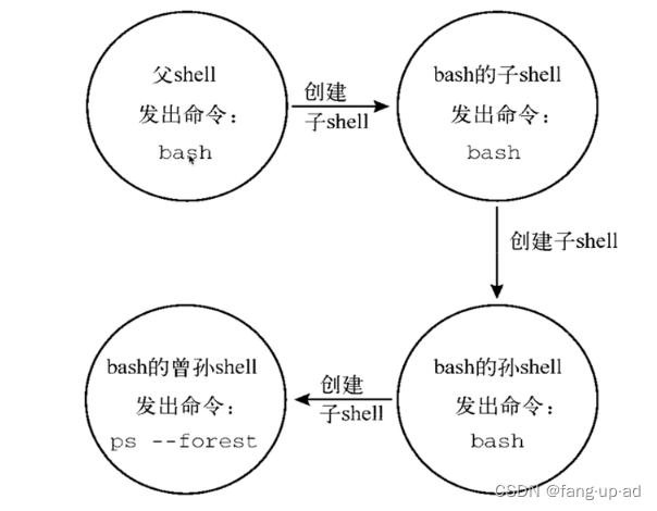 P21.为什么需要父子shell_为什么需开启子shell-CSDN博客