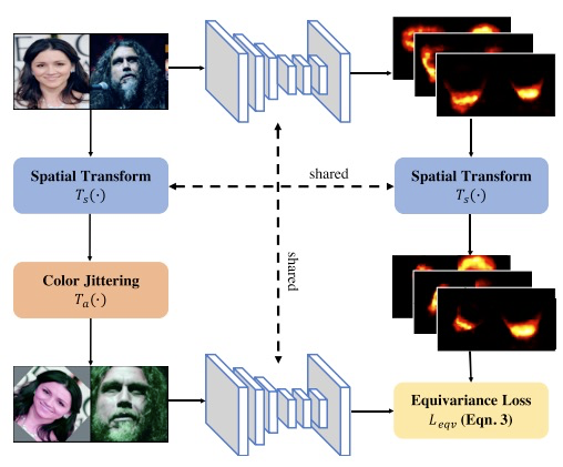 论文学习 SCOPS: Self-Supervised Co-Part Segmentation-CSDN博客