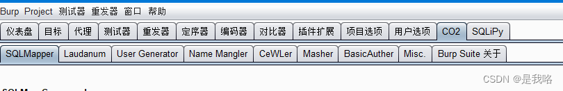 sql注入 BurpSuite与sqlmap联动，sqlmap友好图形化界面解决办法 CO2(sqlmap插件) 使用_burpsqlmap插件-CSDN博客