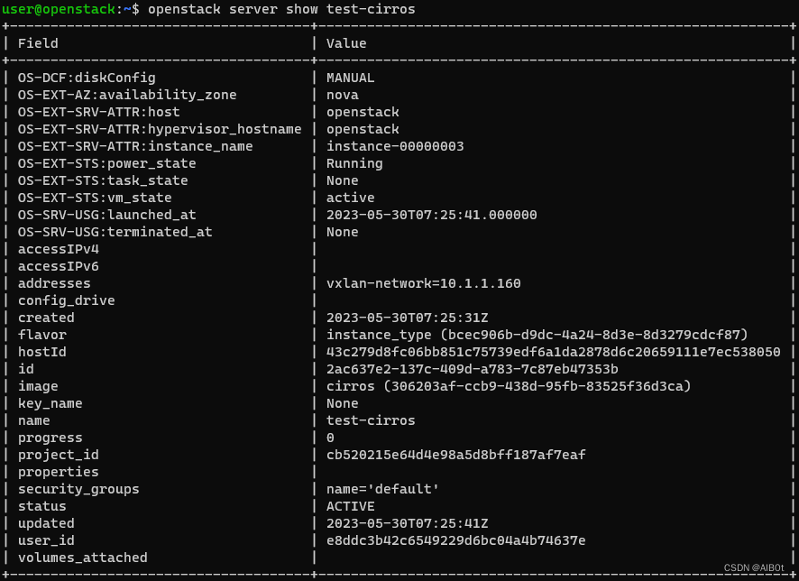 命令行配置OpenStack使实例能够联通外网_openstack 网络配置-CSDN博客