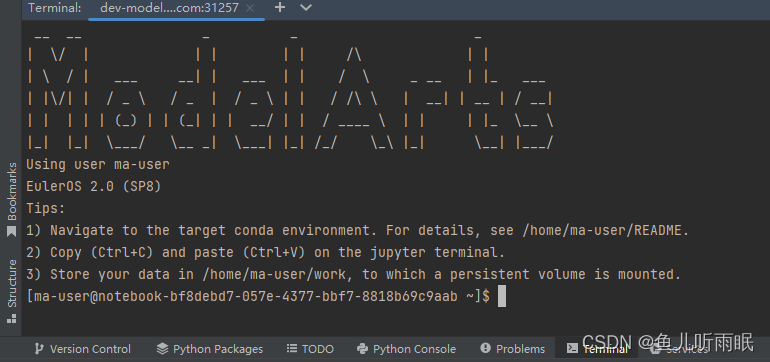 【保姆级教程】PyCharm通过SSH远程连接ModelArts_pycharm ssh-CSDN博客