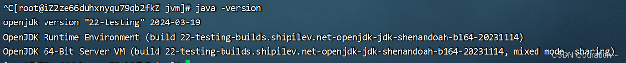 Shenandoah GC概述-CSDN博客